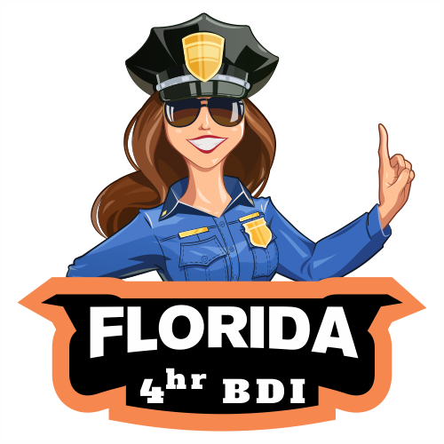 Florida Basic Driver Improvement (BDI) FAQ - 2COOL Traffic School
