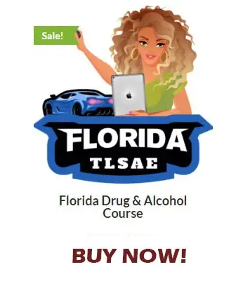 Florida Basic Driver Improvement (BDI) FAQ - 2COOL Traffic School